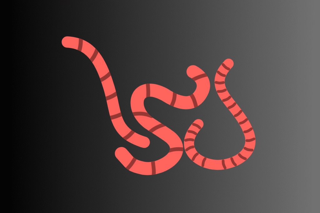 Worm Infestation Ayurveda: Types, Causes, Symptoms & Treatment